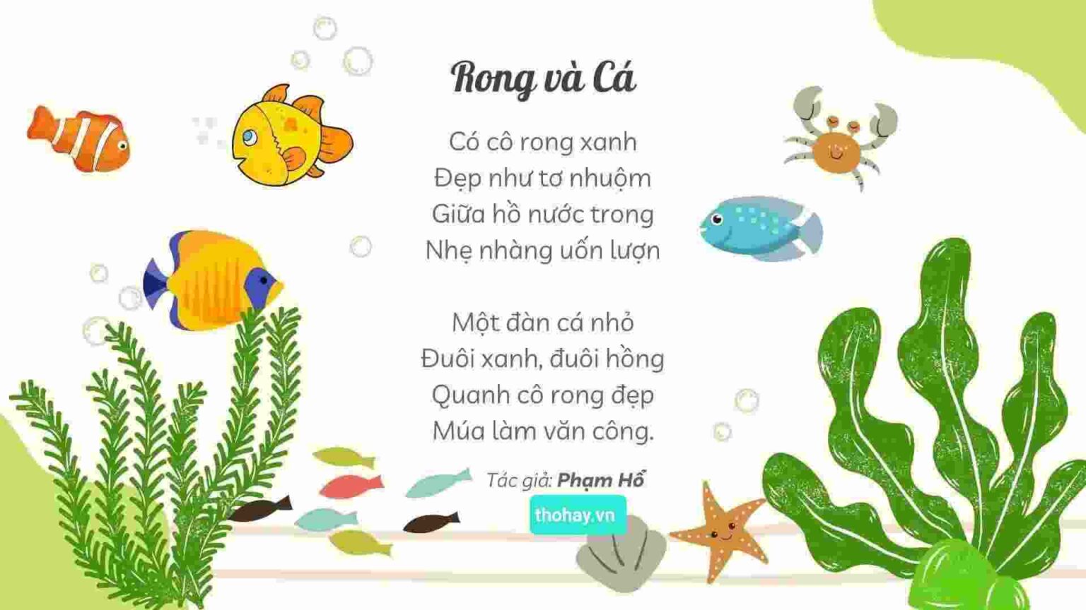 Bài Thơ Rong Và Cá: Nội Dung + Phân Tích + Giáo Án