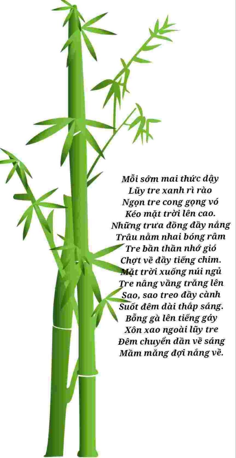 Bài Thơ Lũy Tre ️️ Nội Dung, Hình Ảnh, Giáo Án Trọn Bộ