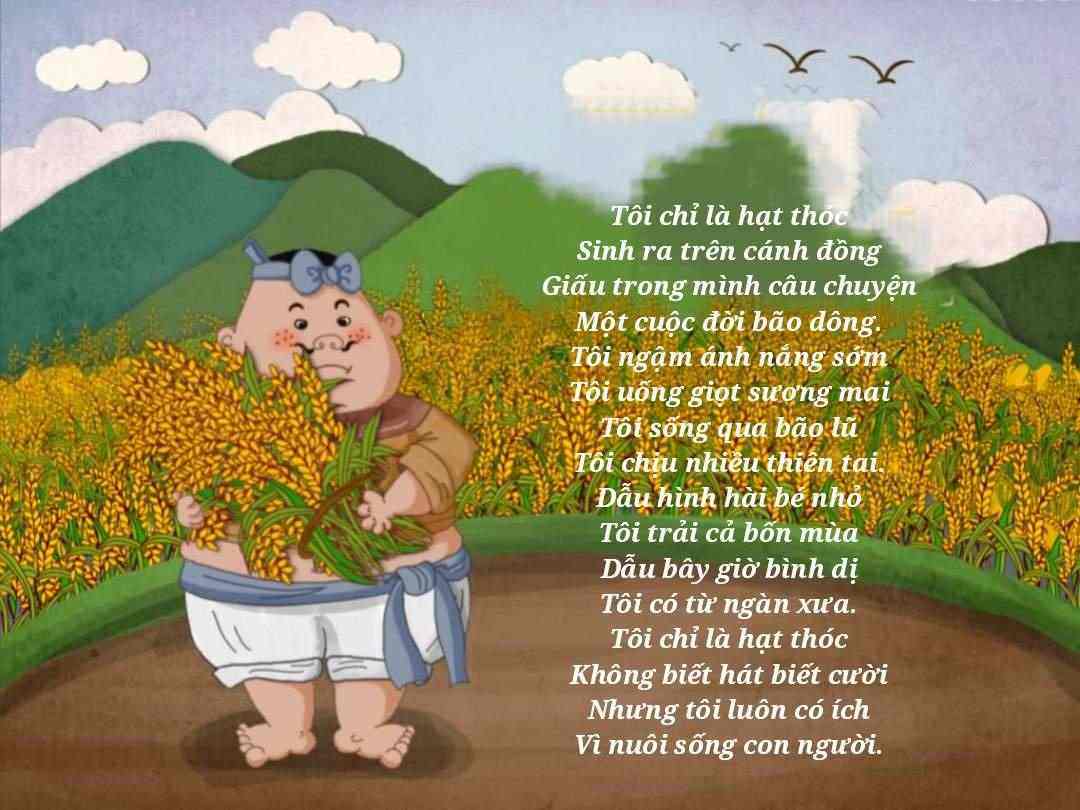 Bài Thơ Hạt Thóc ️️ Nội Dung, Hình Ảnh, Giáo Án